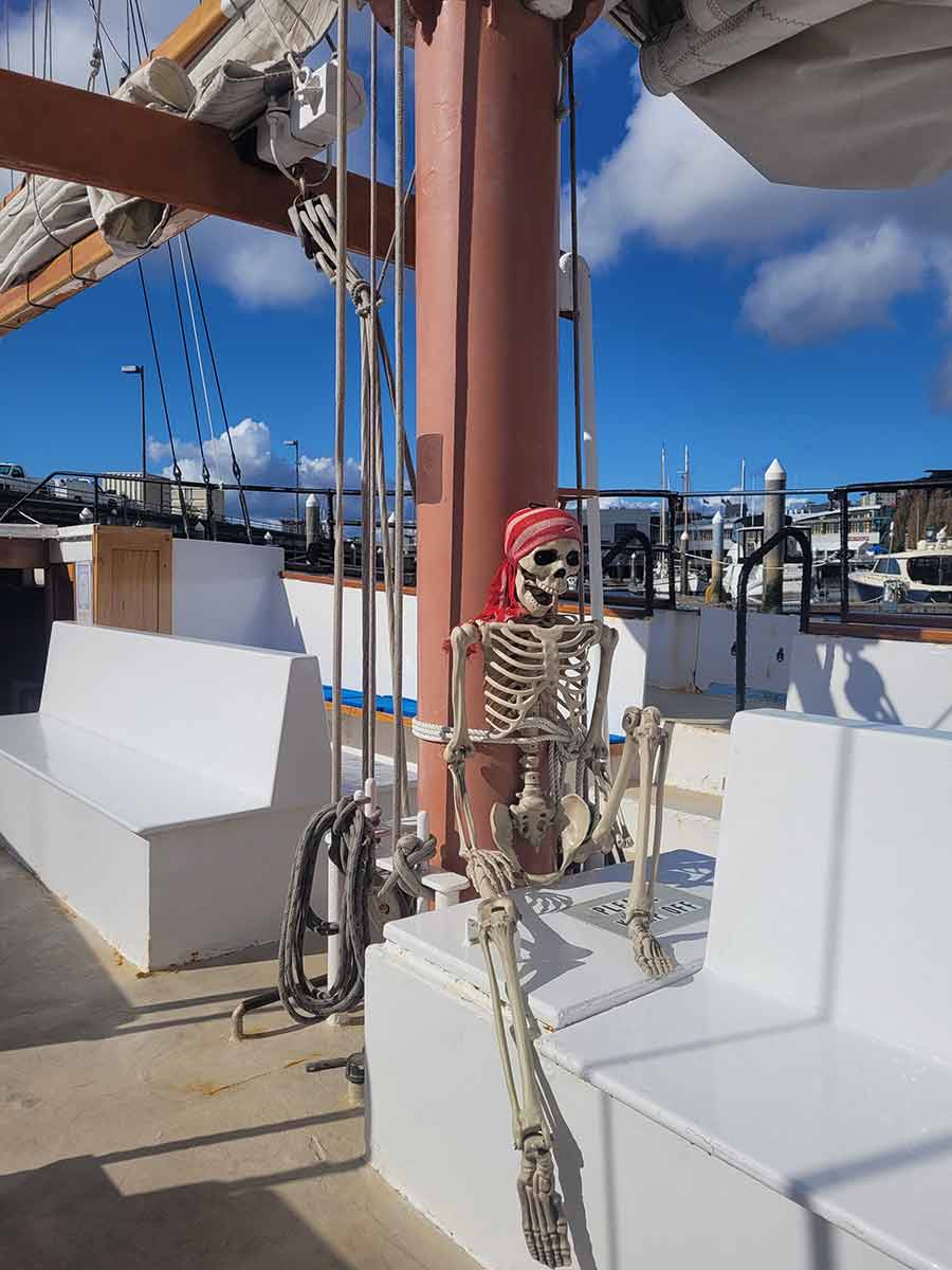 Seattle Sailing Tours - Seattle's Tall Ship